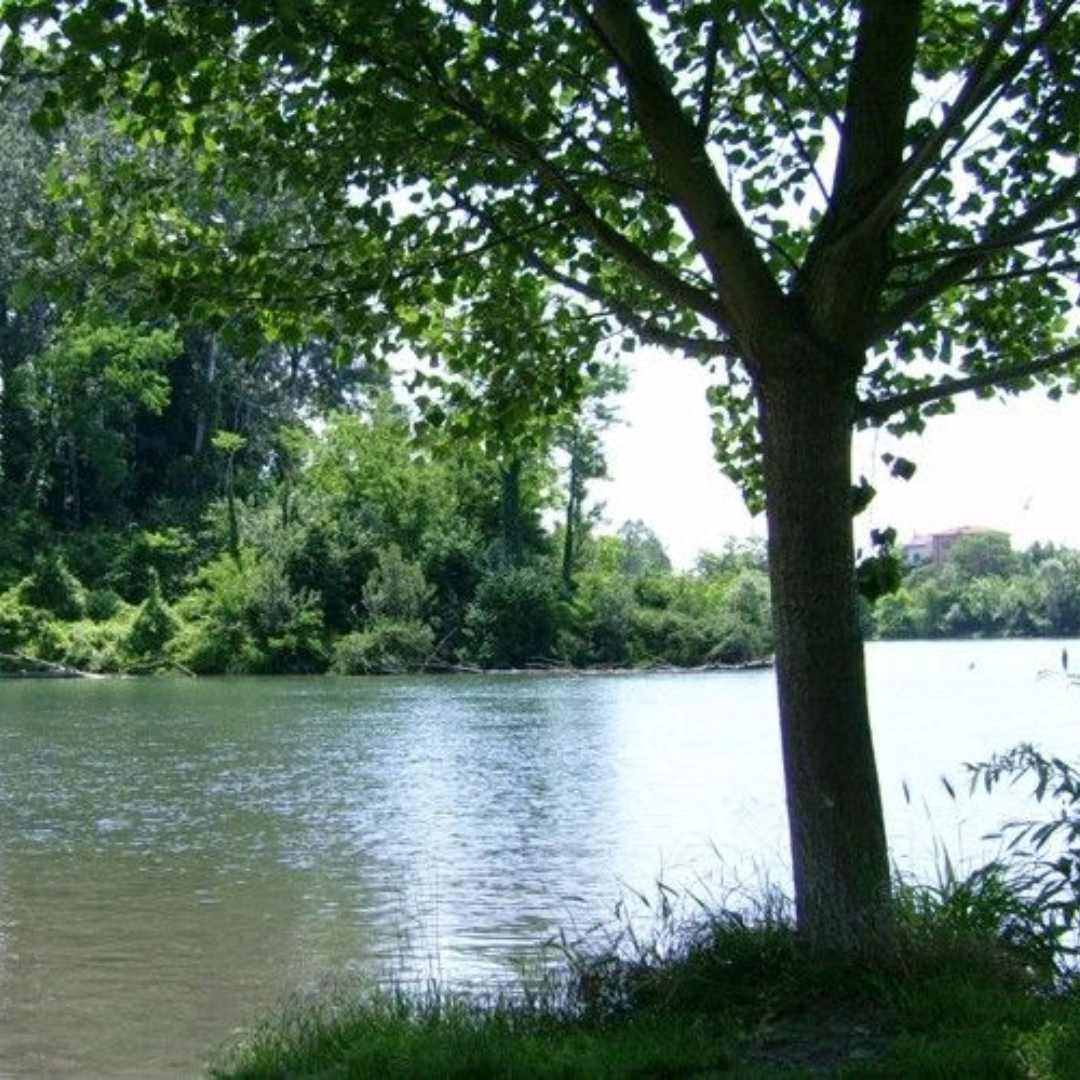 I 5 PARCHI PIU’ VERDI DI VERONA CITTA’ - Visit Verona